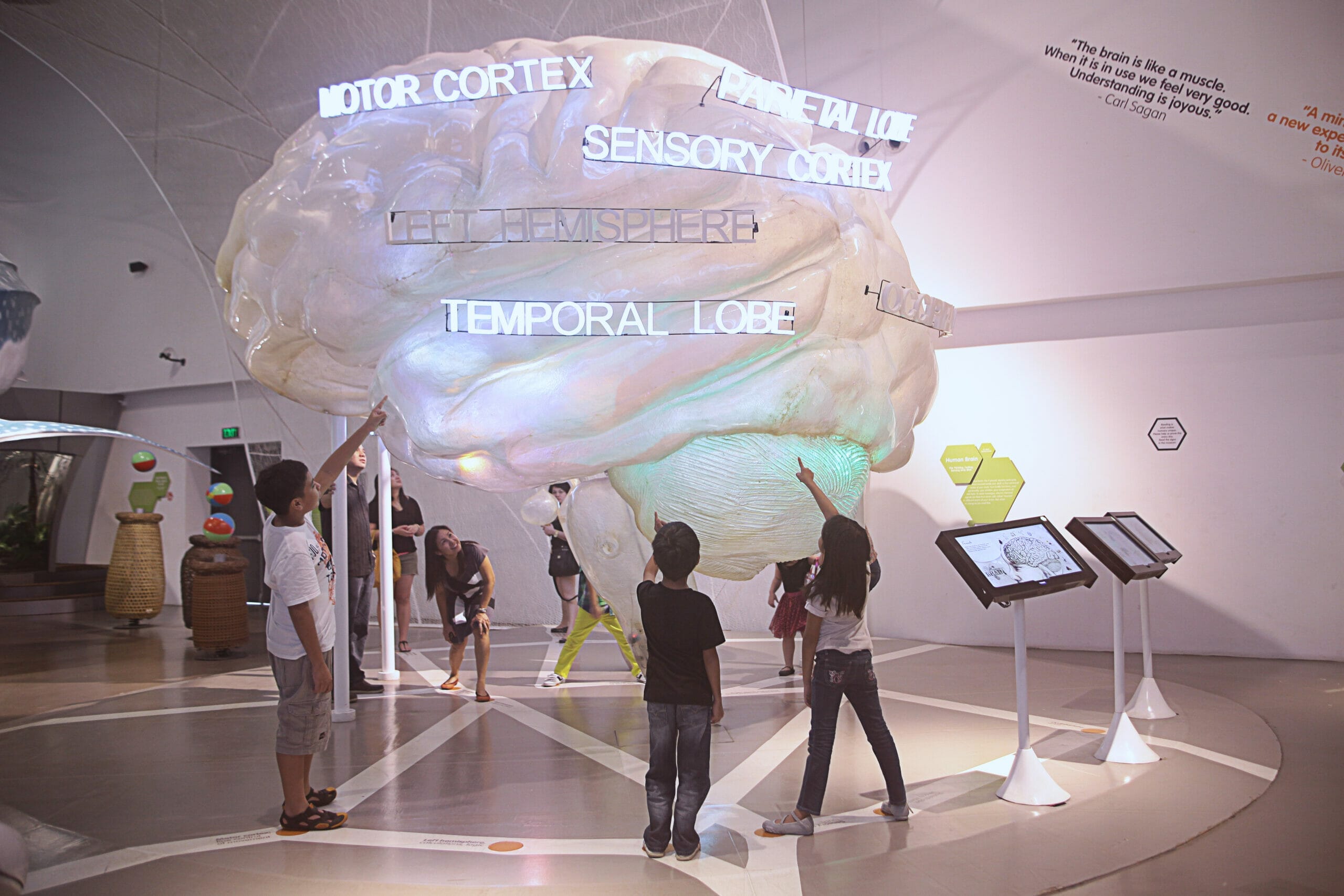 The Mind Museum | Our Projects | RWS Global.
